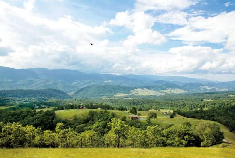 Don't Overlook - WV Living Magazine