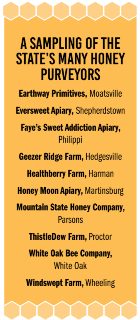 The Buzz about Bees - WV Living Magazine