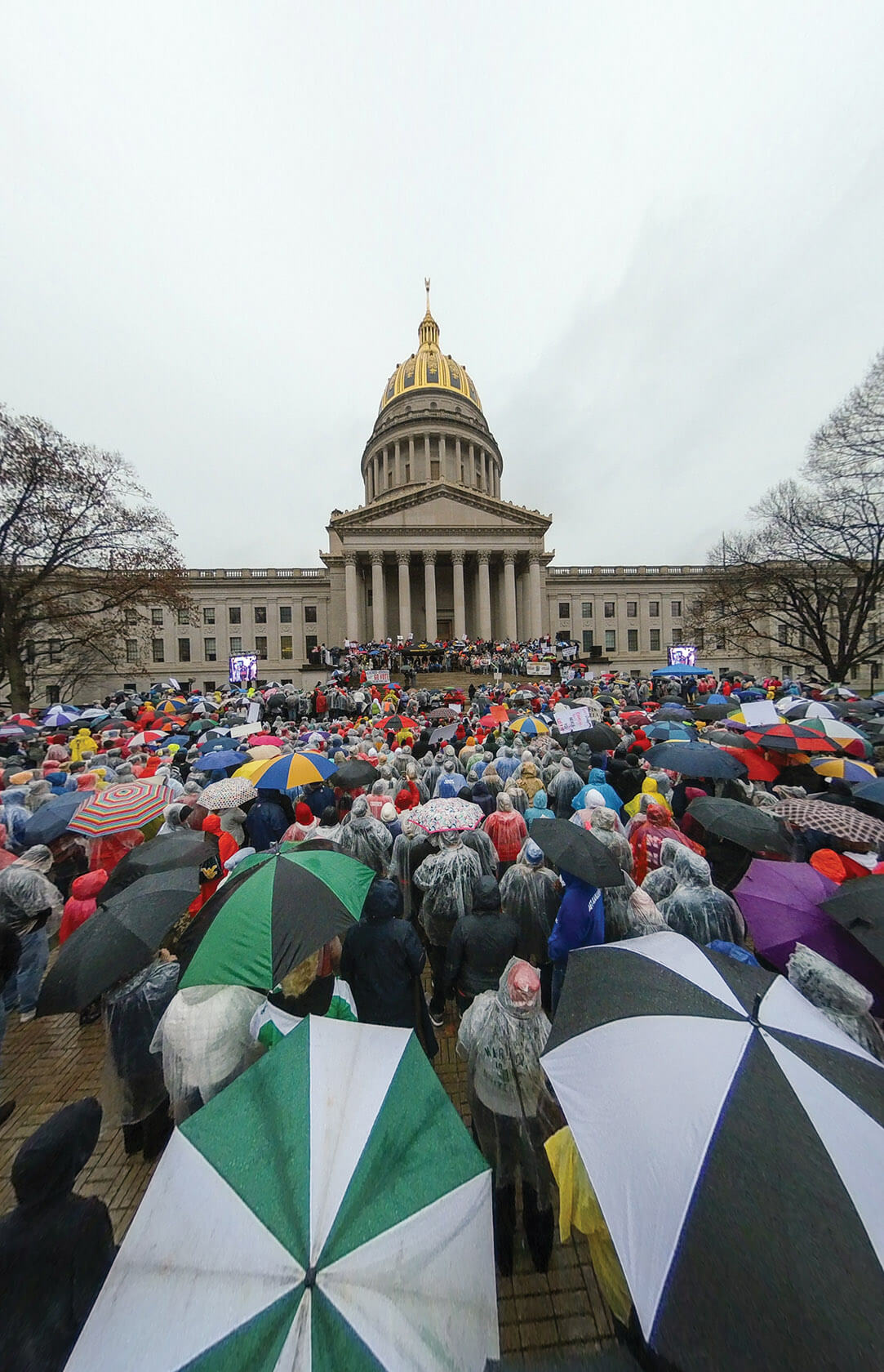 Trailblazing West Virginia Women - WV Living Magazine